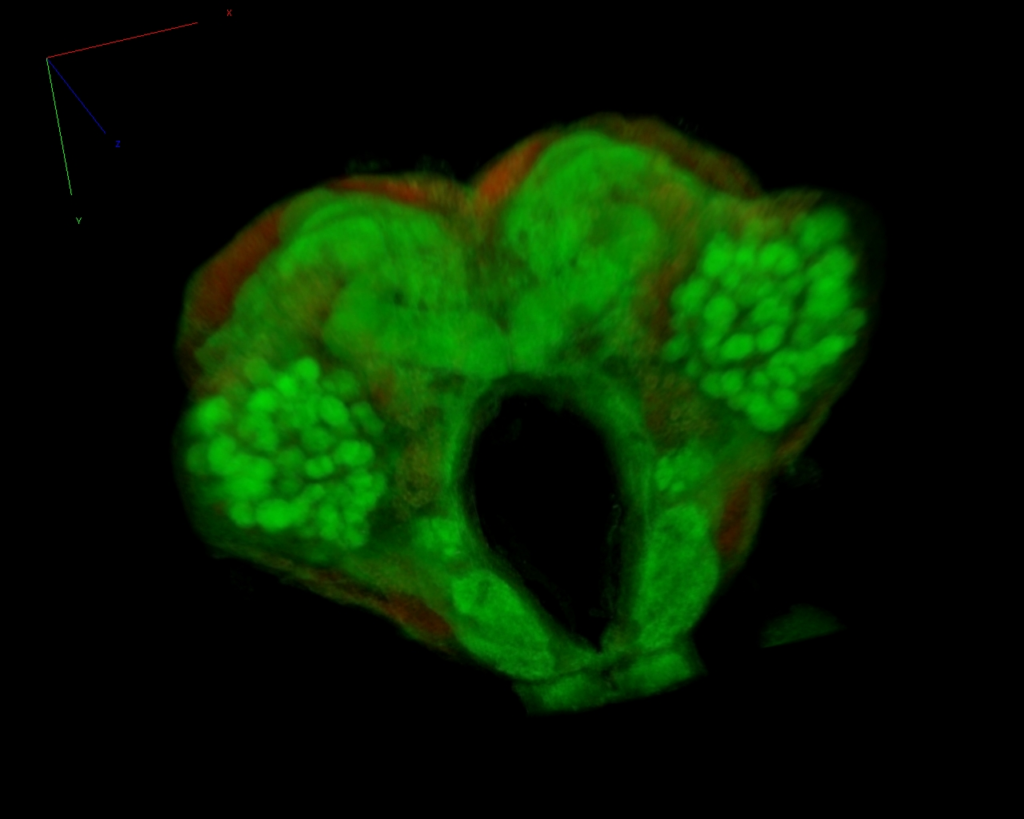 其他 – vimL Blog