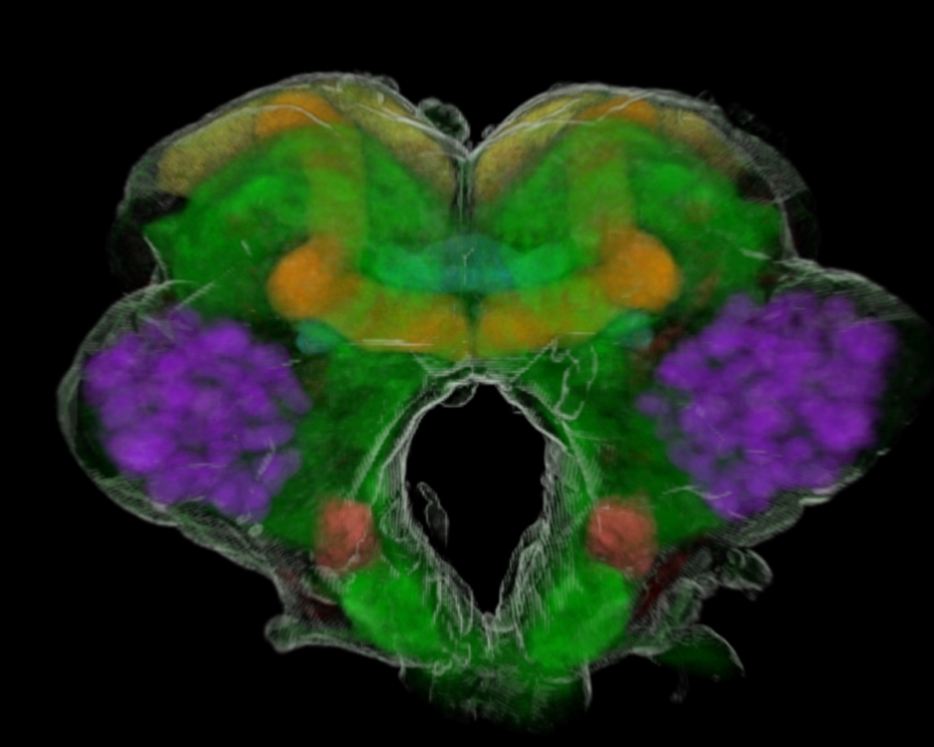 其他 – vimL Blog